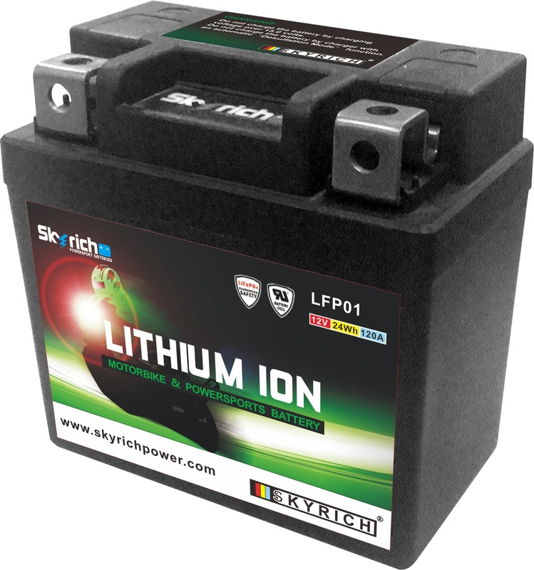 Batterie SKYRICH Lithium-Ion - LFP01 6971475470145 | eBay