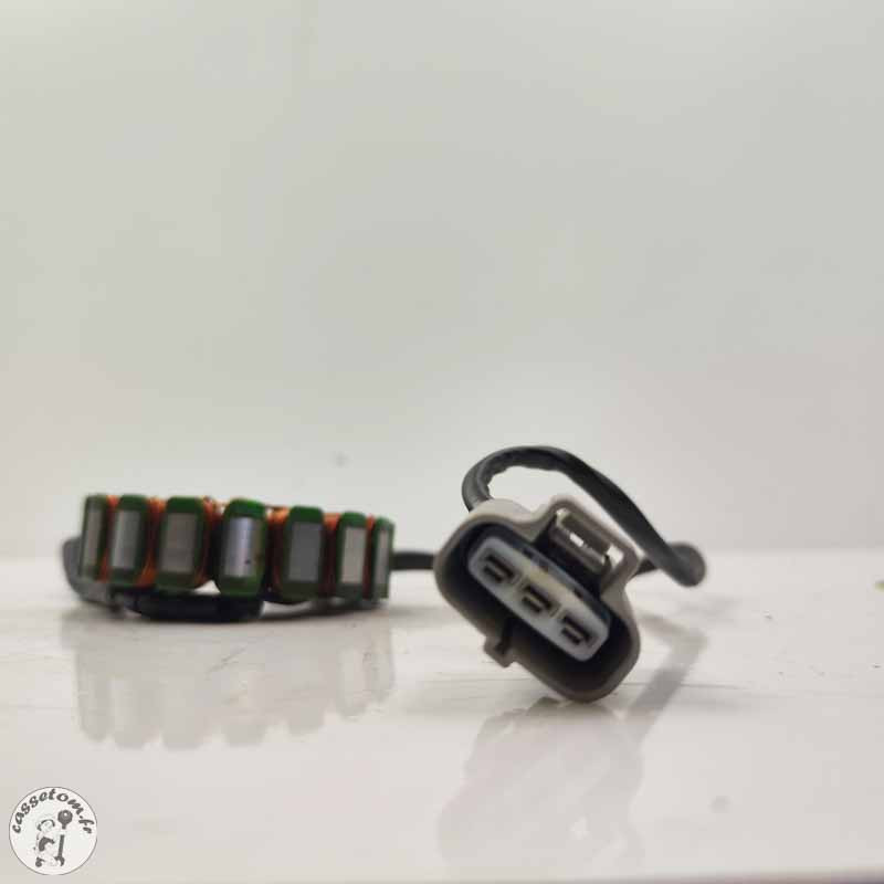 Stator KTM 790 Duke L 2023 d'occasion | CasseTom